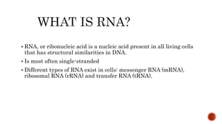 Molecular-structure-of-dna-rna-and-proteins-.pptx