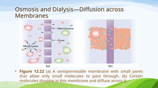 mmmmmmMolecular-Transport-Phenomena.pptx