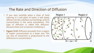 mmmmmmMolecular-Transport-Phenomena.pptx