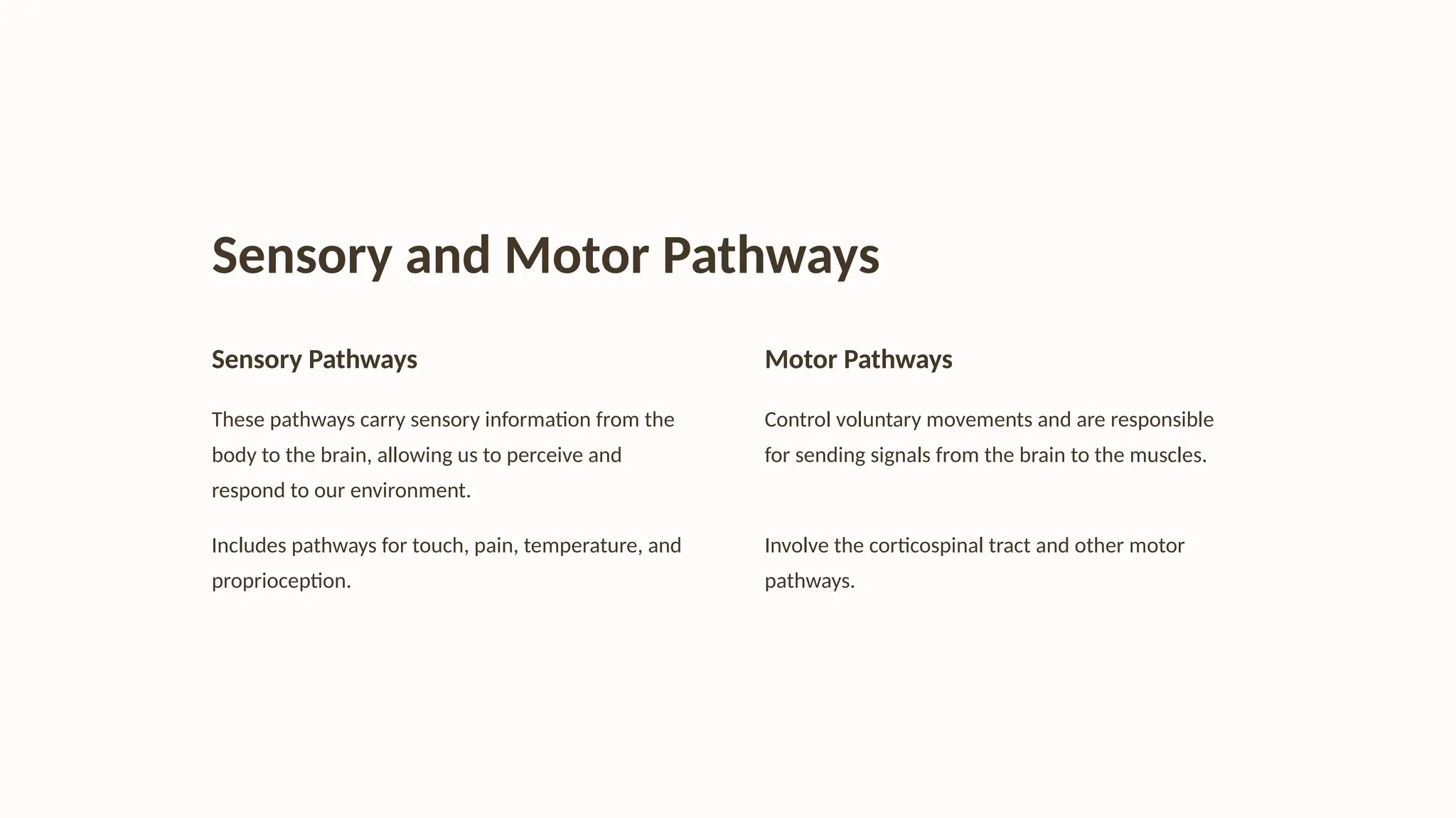 Introduction to nervous system Neuron structure , function and types | PPTX