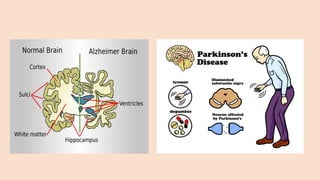 Introduction to nervous system Neuron structure , function and types | PPTX