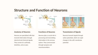 Introduction to nervous system Neuron structure , function and types | PPTX
