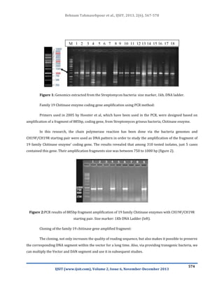 MOLECULAR ANALYSIS OF BACTERIAL GENE CODING CHITINASE ENZYMES, FAMILY 19 STREPTOMYCES | PDF