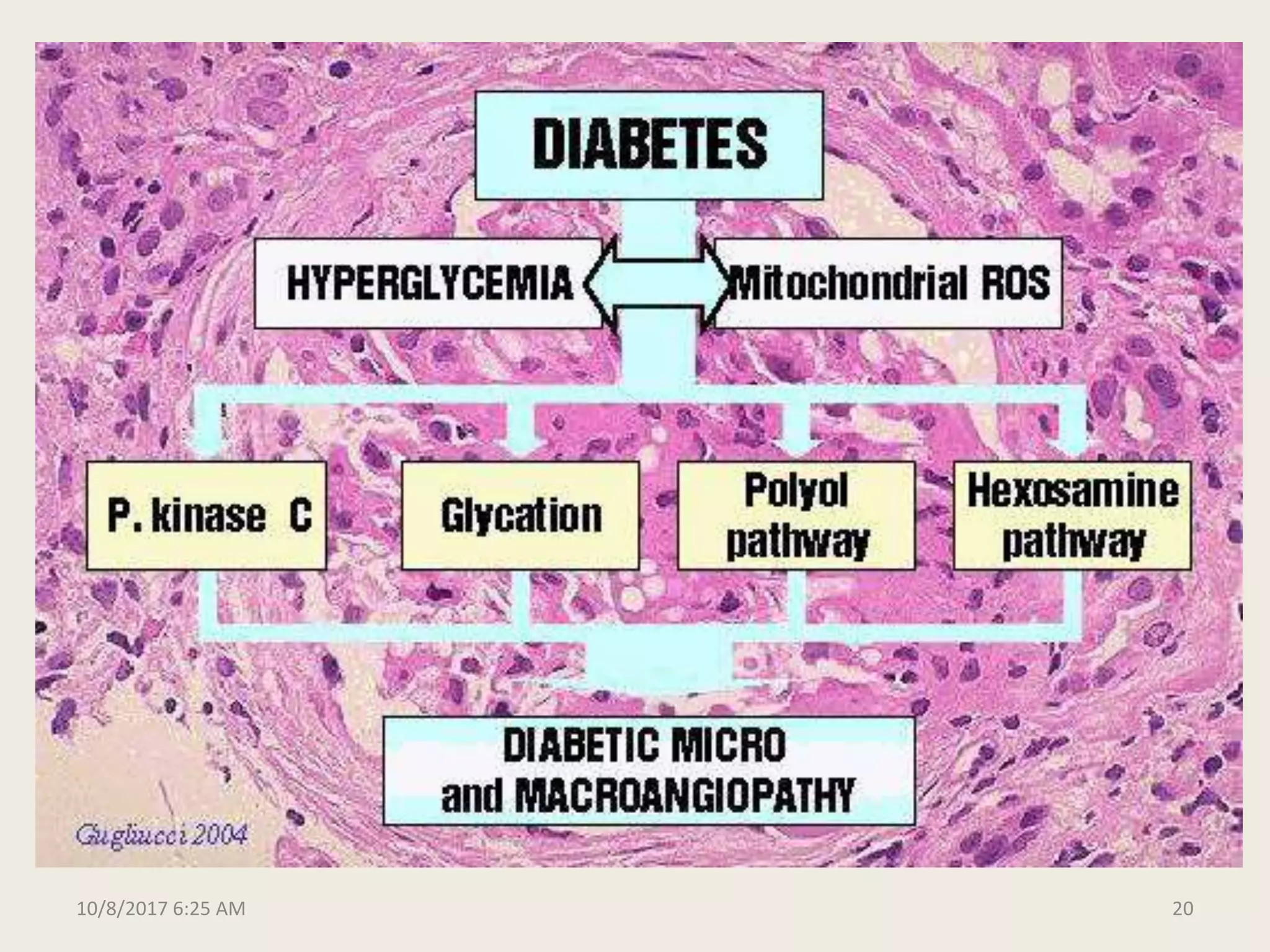 Molecular and biochemical mechanisms of diabetic complications final | PPTX