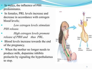 Molecular and cellular action of prolactin | PPTX