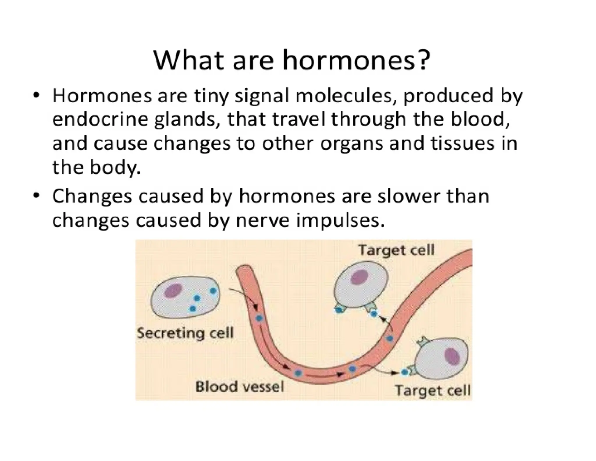 Molecular and cellular mechanism of action of Growth hormone.pdf