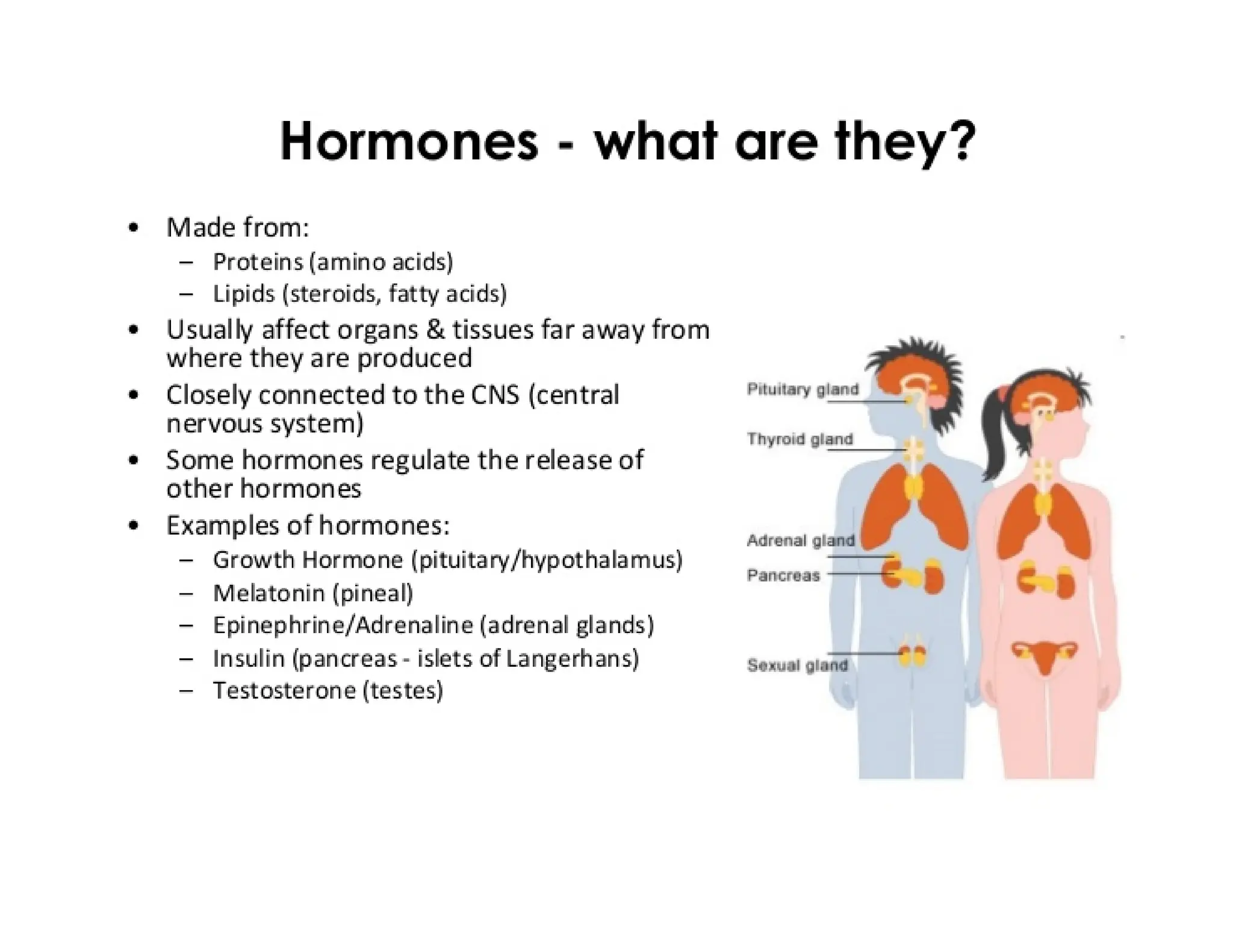 Molecular and cellular mechanism of action of Growth hormone.pdf