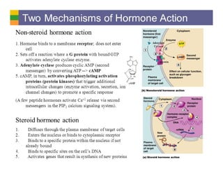 Molecular and cellular mechanism of action of Growth hormone.pdf