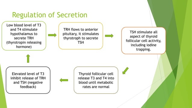 Molecular and cellular mechanism of action of hormones | PPTX