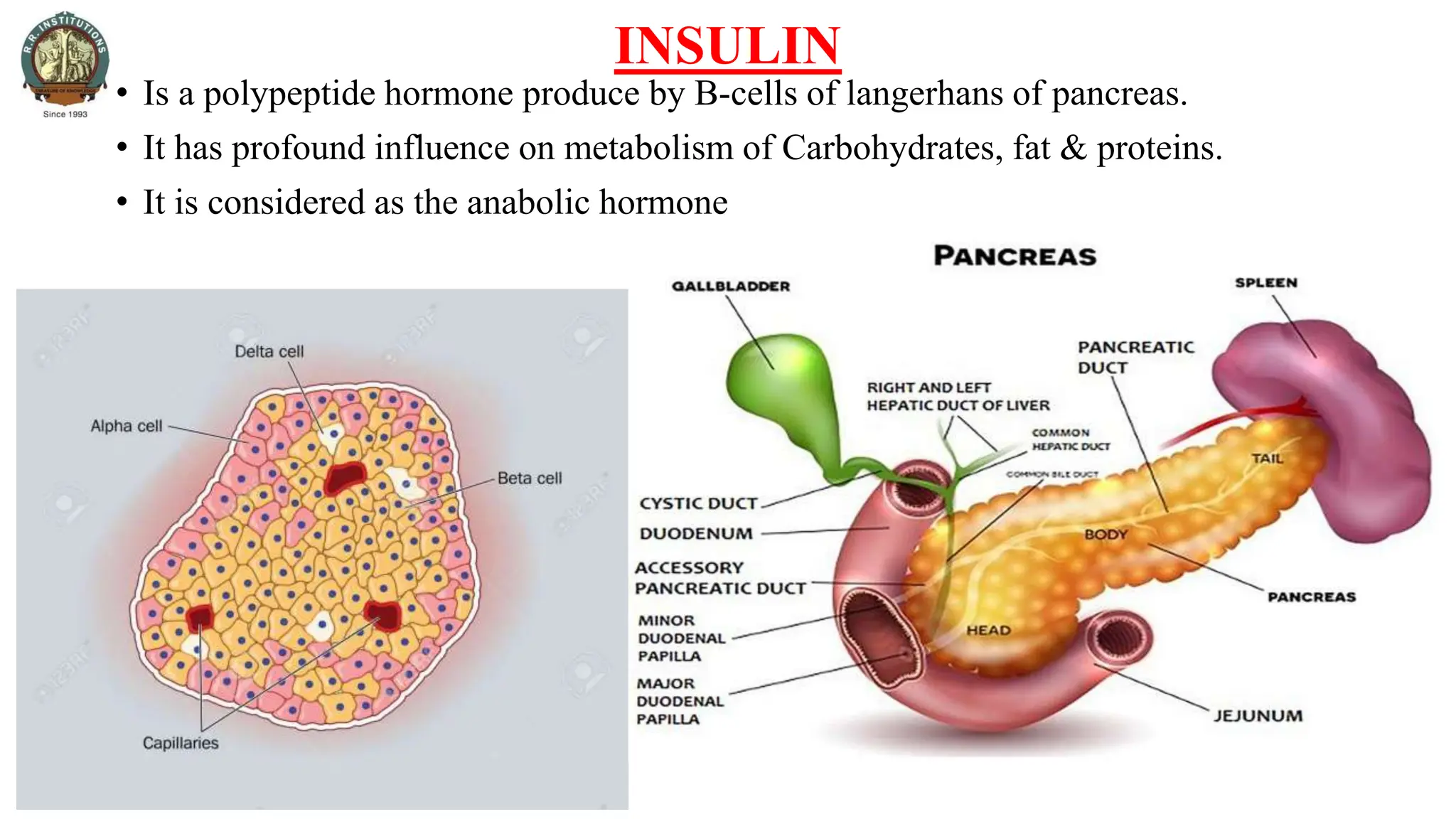 Molecular and Cellular Mechanism of Action of Hormones such as Growth ...