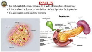 Molecular and Cellular Mechanism of Action of Hormones such as Growth ...