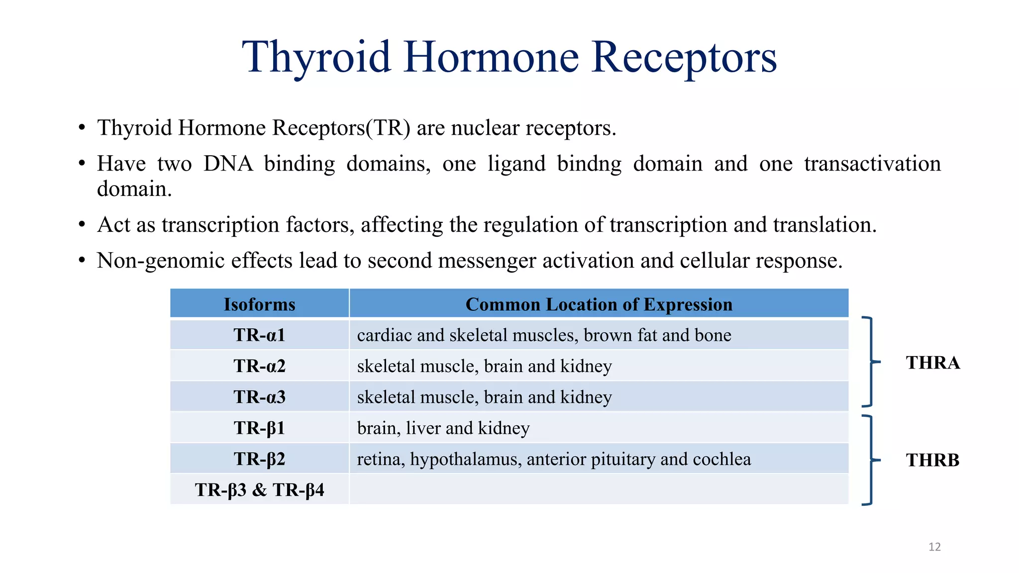 Molecular and Cellular Mechanism of Action of Thyroid_Anas_Saifi.pptx