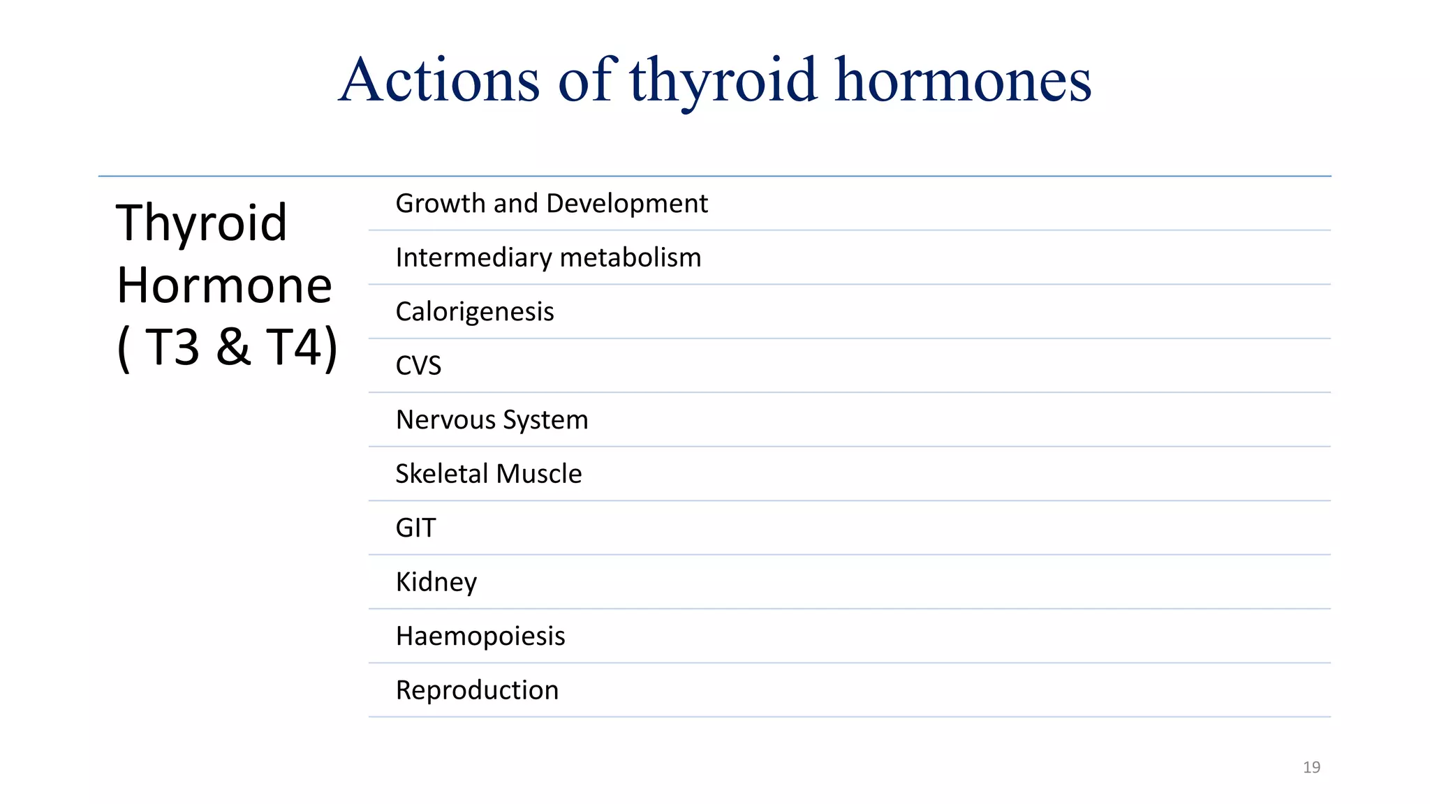 Molecular and Cellular Mechanism of Action of Thyroid_Anas_Saifi.pptx