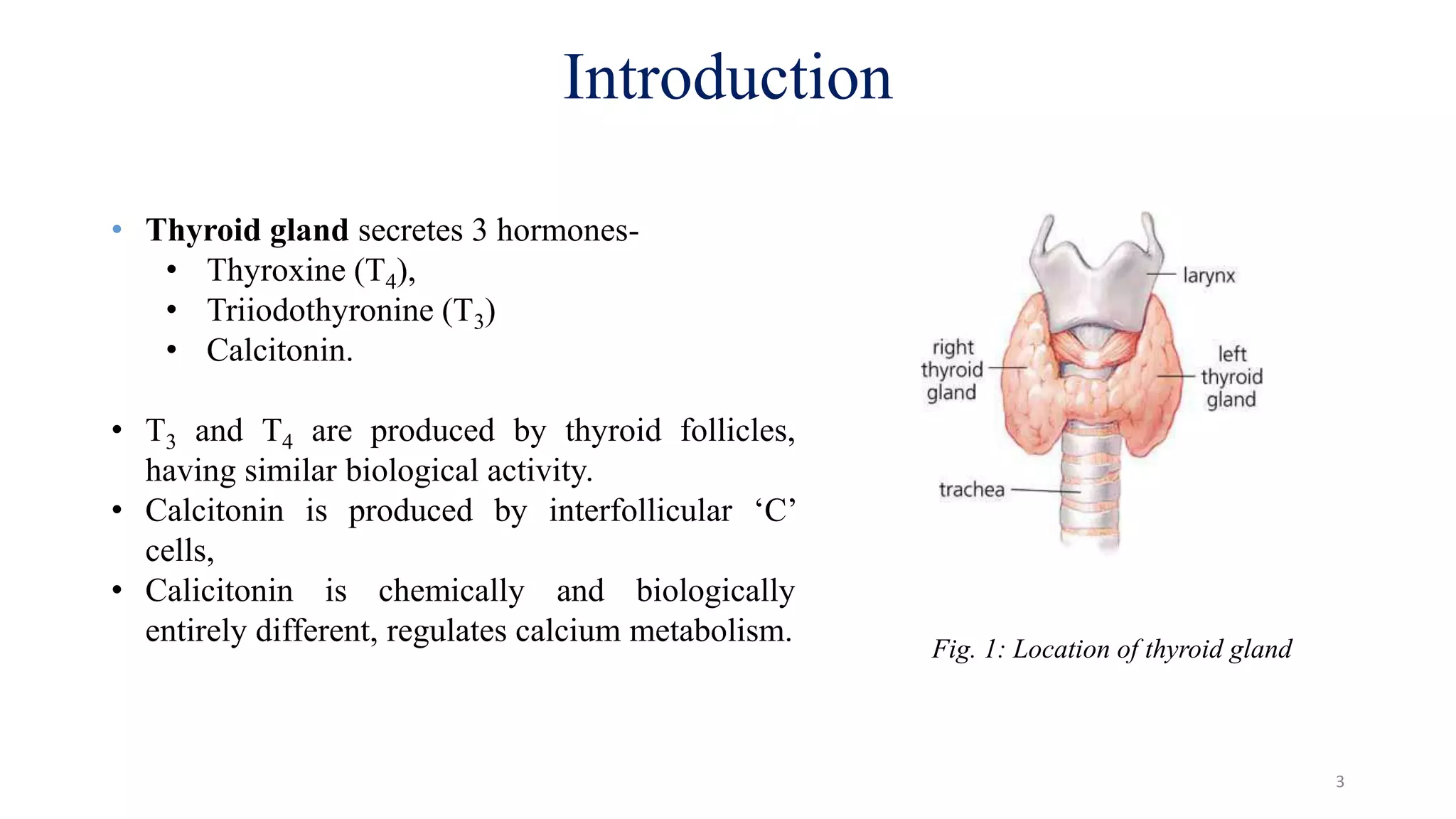 Molecular and Cellular Mechanism of Action of Thyroid_Anas_Saifi.pptx