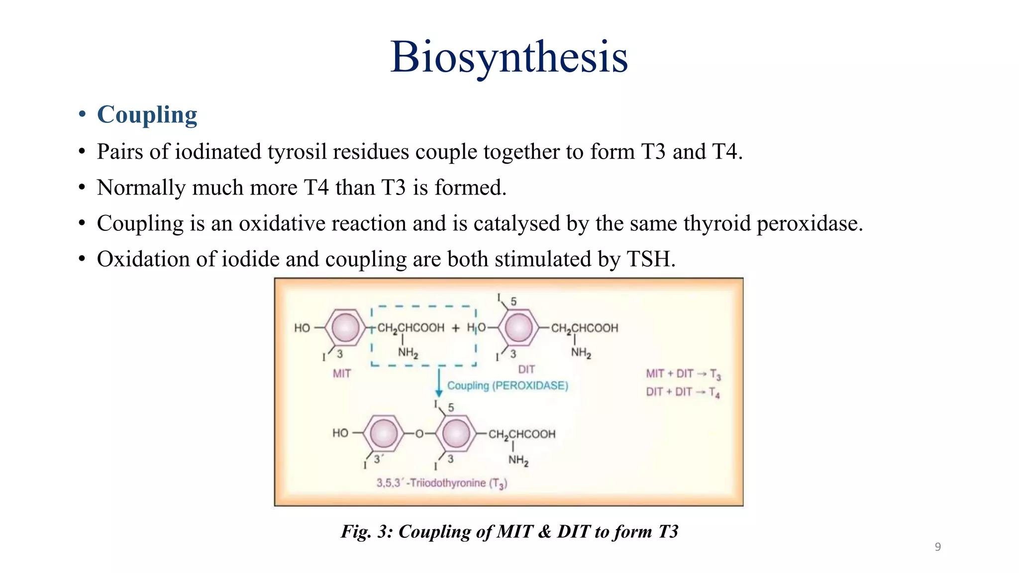 Molecular and Cellular Mechanism of Action of Thyroid_Anas_Saifi.pptx