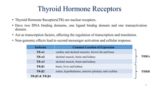 Molecular and Cellular Mechanism of Action of Thyroid_Anas_Saifi.pptx