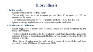 Molecular and Cellular Mechanism of Action of Thyroid_Anas_Saifi.pptx