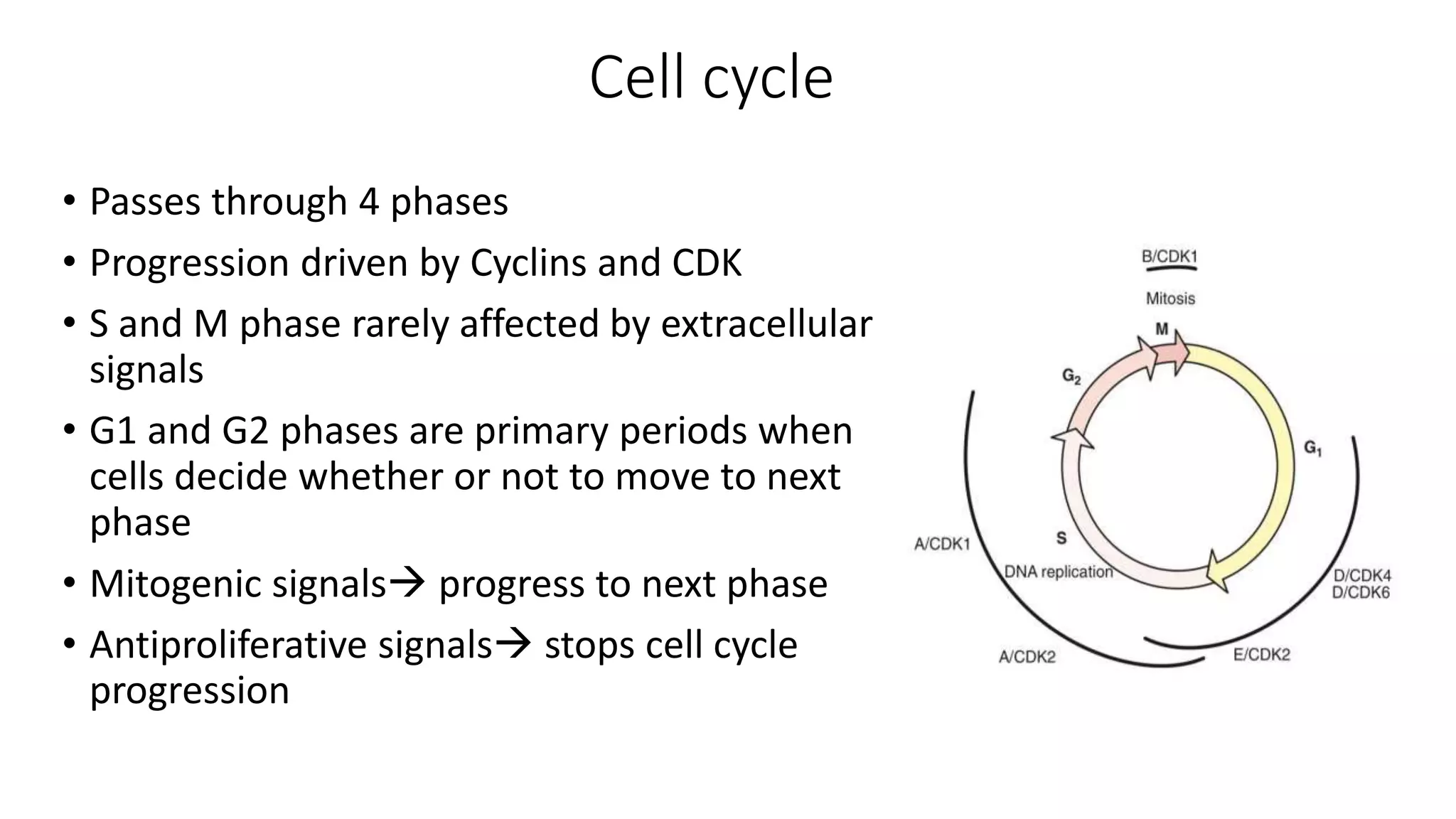 Molecular and genomic surgery | PPTX