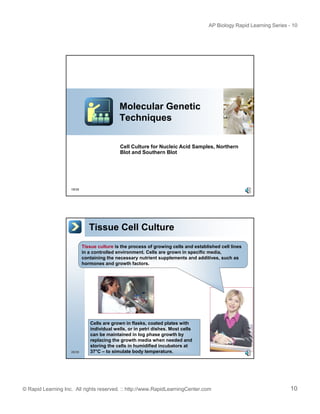Molecular and Human Genetics | PDF