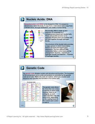 Molecular and Human Genetics | PDF | Biological Sciences | Science