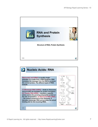 Molecular and Human Genetics | PDF | Biological Sciences | Science