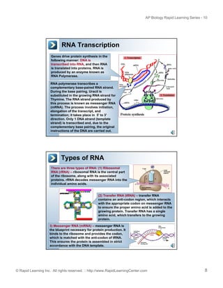 Molecular and Human Genetics | PDF | Biological Sciences | Science