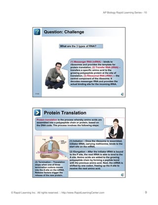 Molecular and Human Genetics | PDF | Biological Sciences | Science