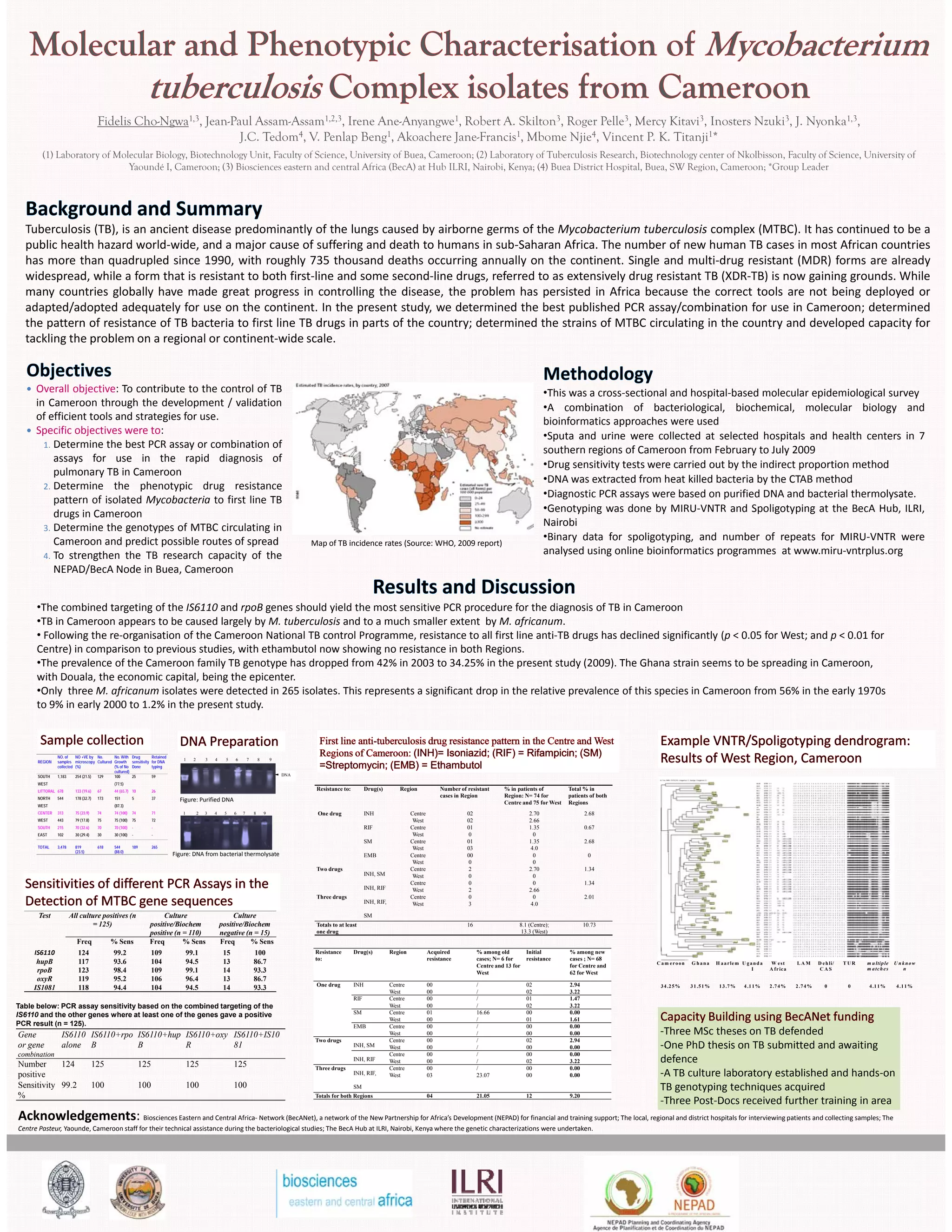 Molecular and phenotypic characterisation of mycobacterium tuberculosis complex | PDF