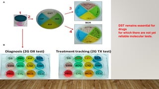 Molecular assay in tuberculosis.pptx
