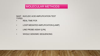 Molecular assay in tuberculosis.pptx