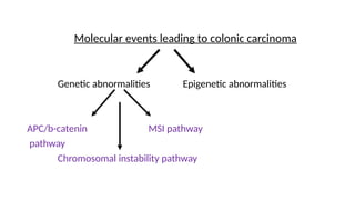 Molecular basis and etiopathogenesis of colorectal carcinoma.pptx