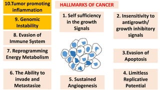Molecular basis of cancer oncogenes and cancer | PDF