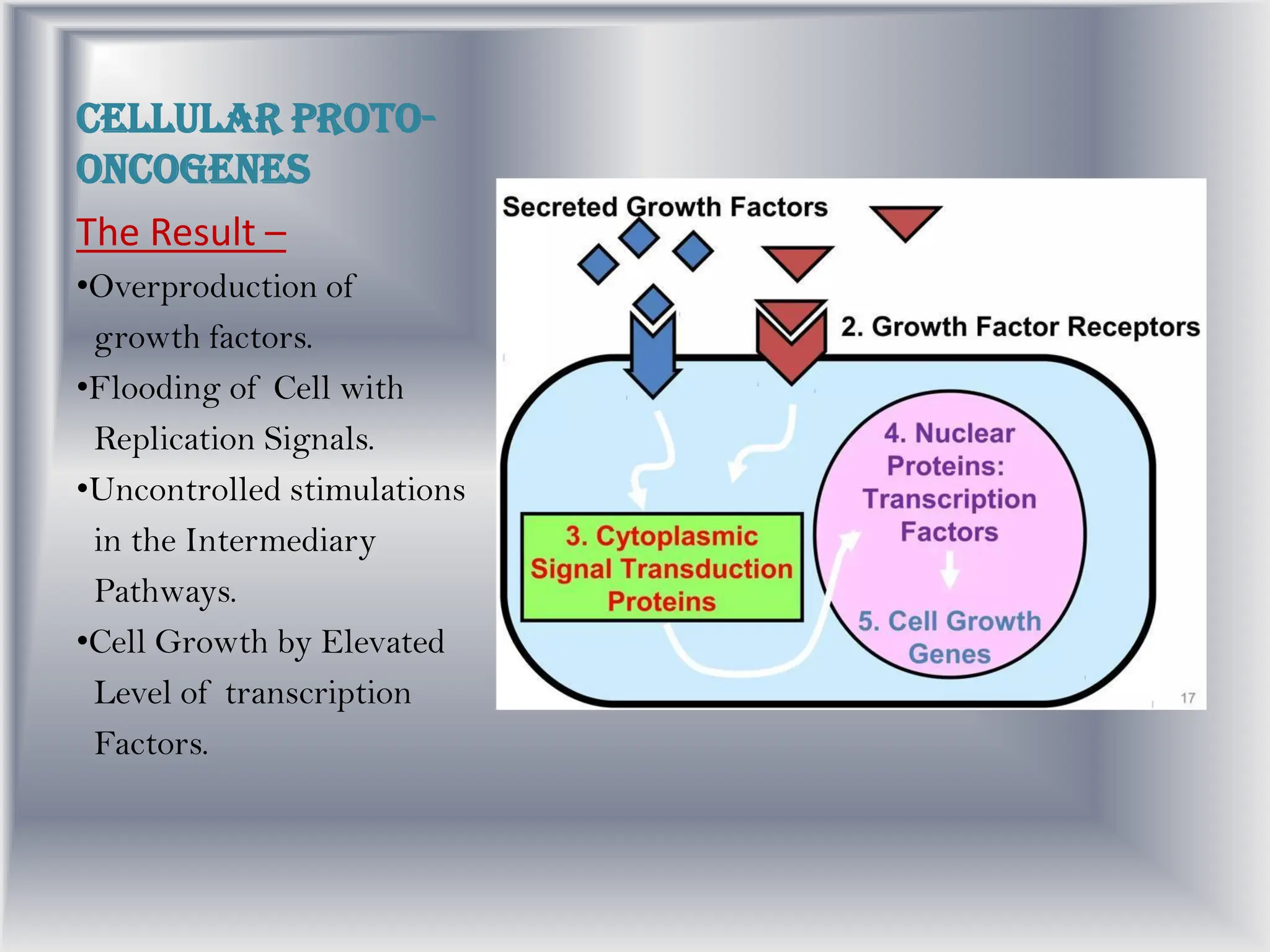 Medical Education- MOLECULAR BASIS OF CARCINOGENESIS.pdf