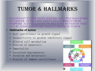 Medical Education- MOLECULAR BASIS OF CARCINOGENESIS.pdf