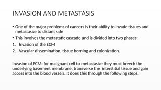 THE MOLECULAR BASIS OF CARCINOGENESIS.pptx
