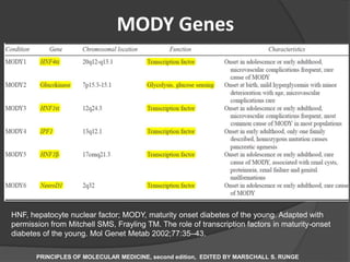Molecular basis of diabetes | PPT