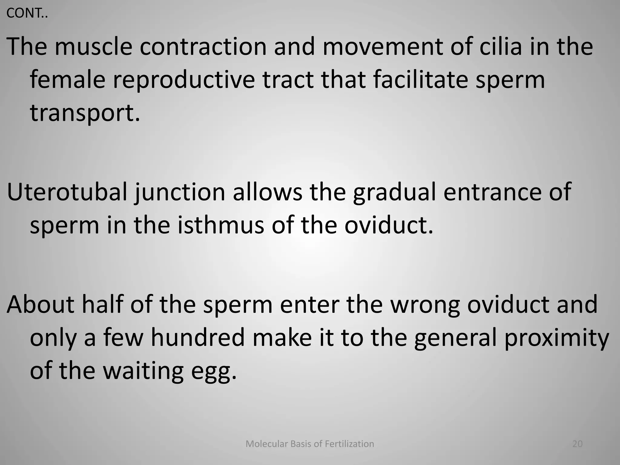 Molecular basis of fertilization | PPTX