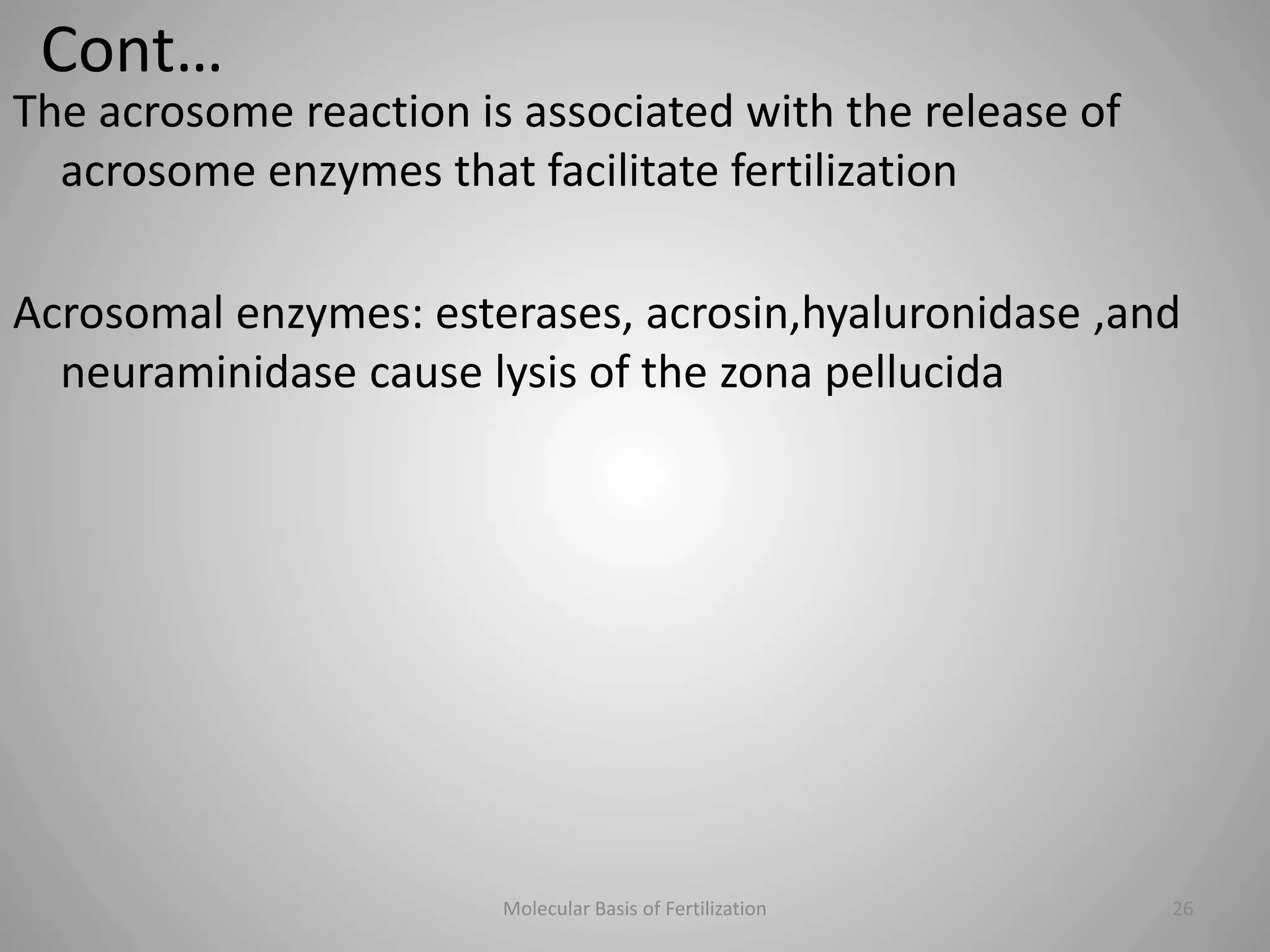 Molecular basis of fertilization | PPTX