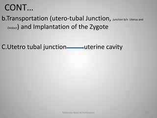Molecular basis of fertilization | PPTX