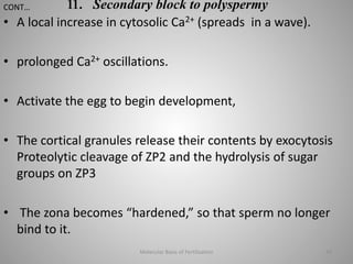 Molecular basis of fertilization | PPTX