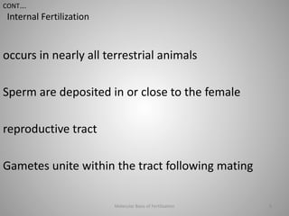 Molecular basis of fertilization | PPTX