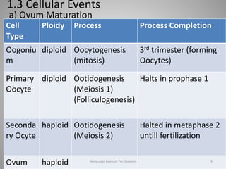 Molecular basis of fertilization | PPTX