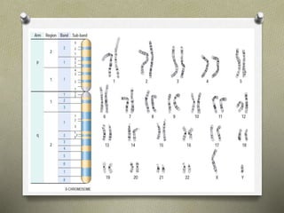 Molecular basis of genetic disease | PPTX