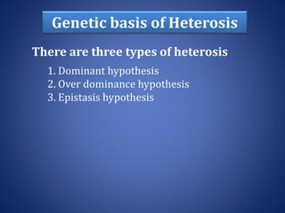 molecular basis of heterosis.pptx