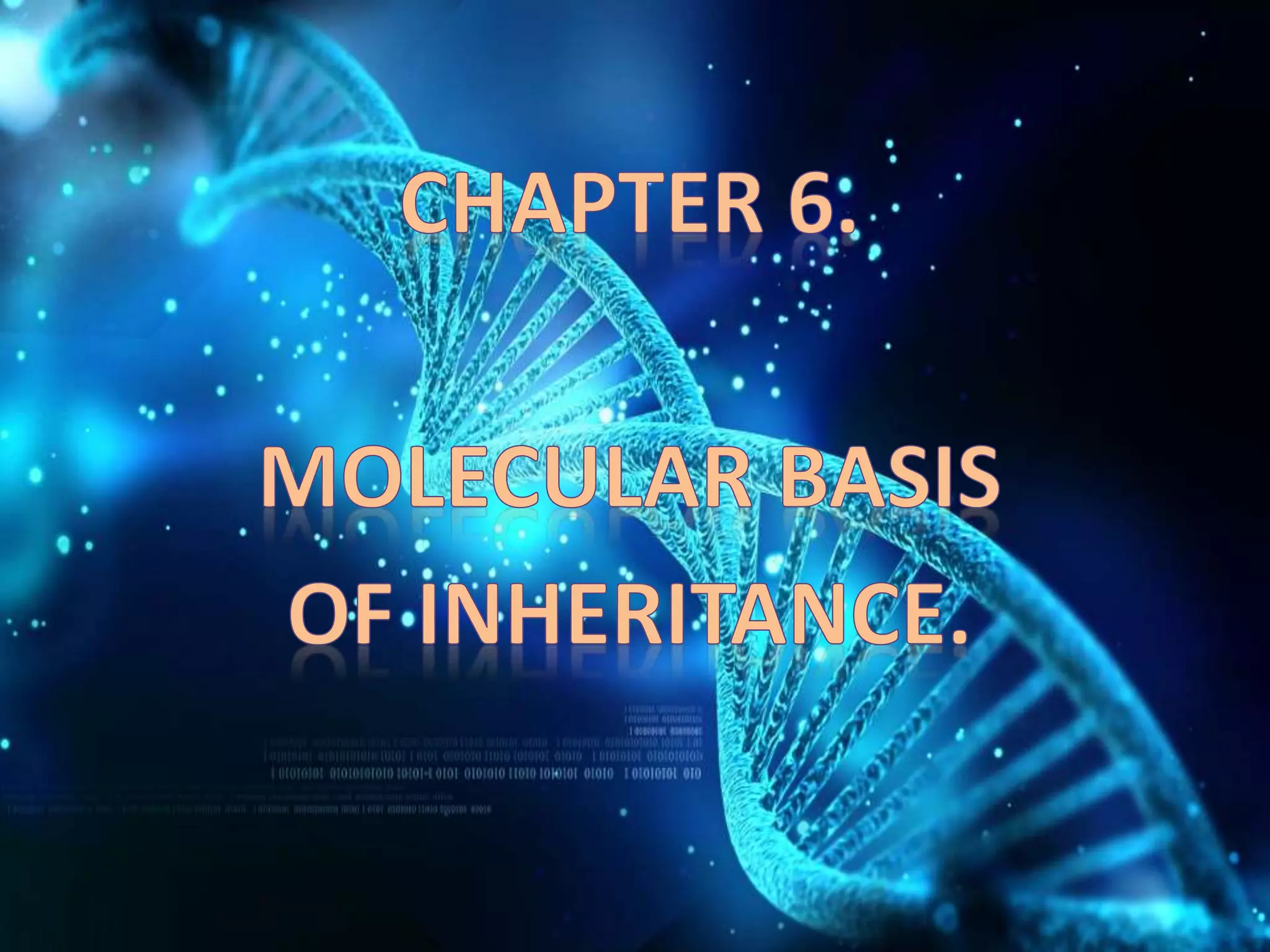 Chapter 6. Molecular basis of inheritance. | PPTX