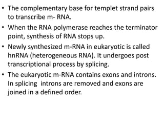 Chapter 6. Molecular basis of inheritance. | PPTX