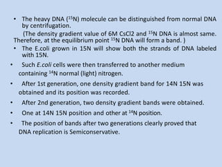 Molecular basis of Inheritance | PDF