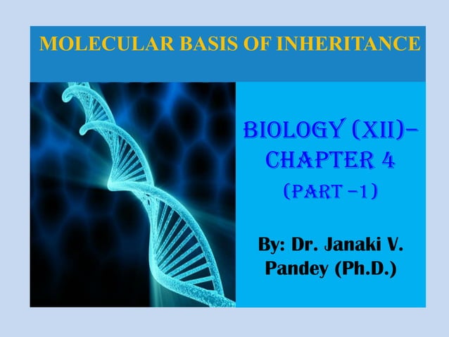 Molecular basis of Inheritance | PPT