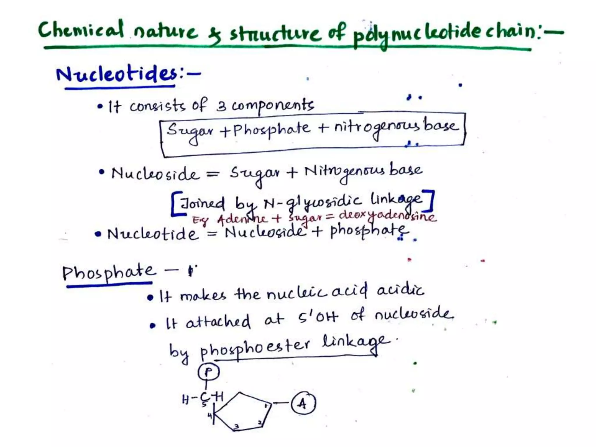 Molecular basis of inheritance (Class 12) | PPTX
