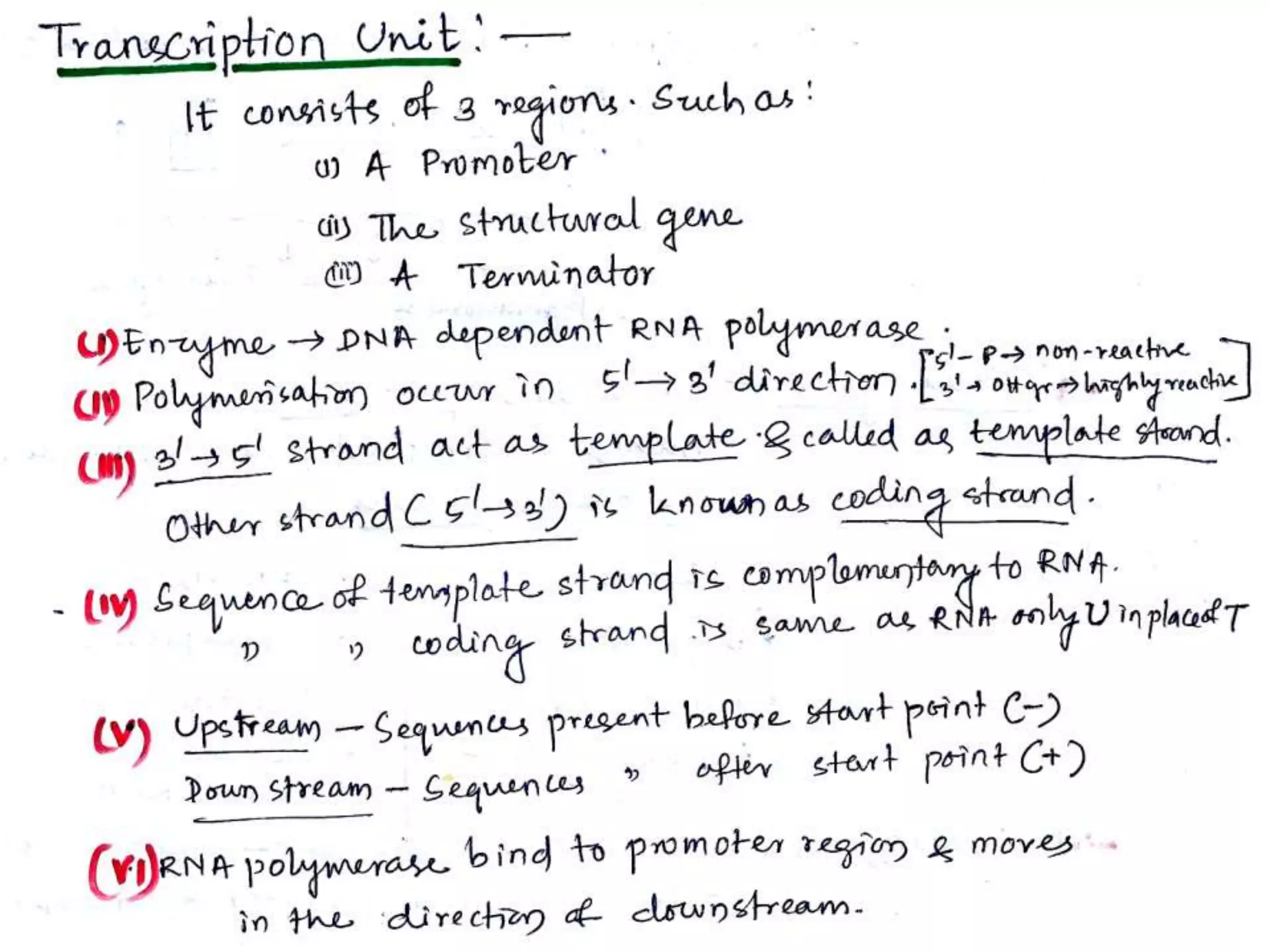Molecular basis of inheritance (Class 12) | PPTX